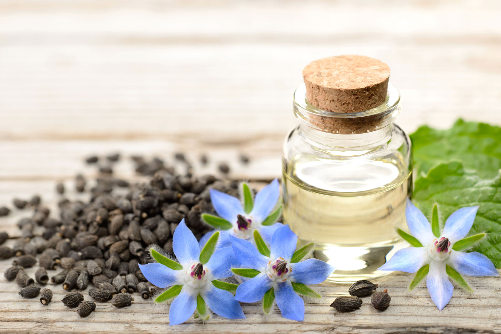 Bioriginal Launches Industry-First Non-GMO High GLA Borage Oil | Bioriginal