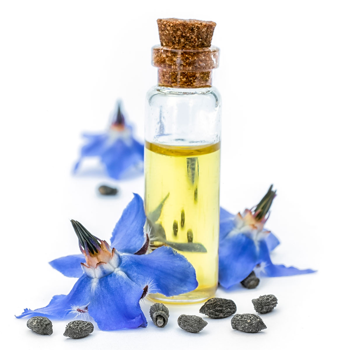High GLA Borage Oil | Bioriginal